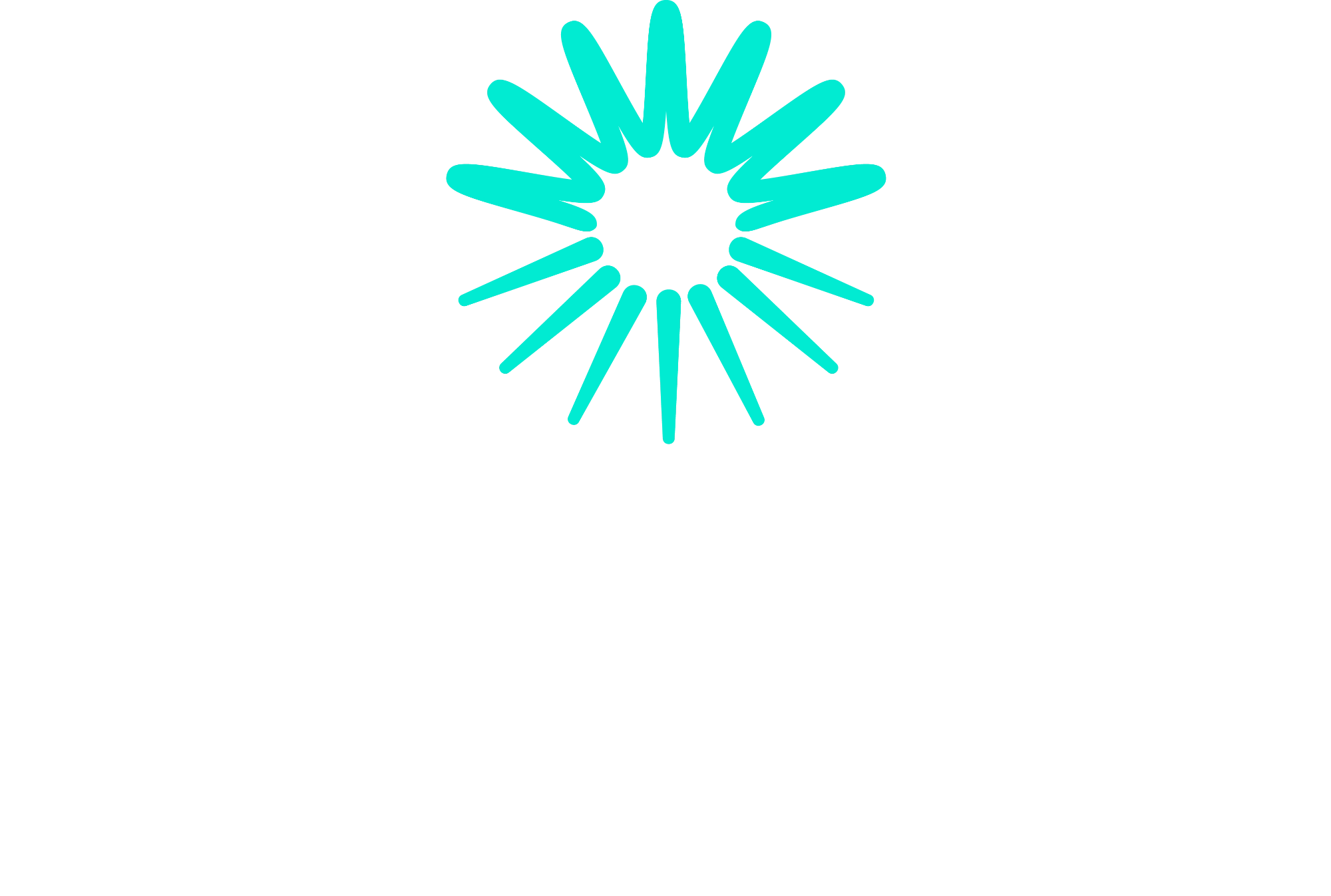 Industry Only Soft Open | Showroom - Lightning Energy